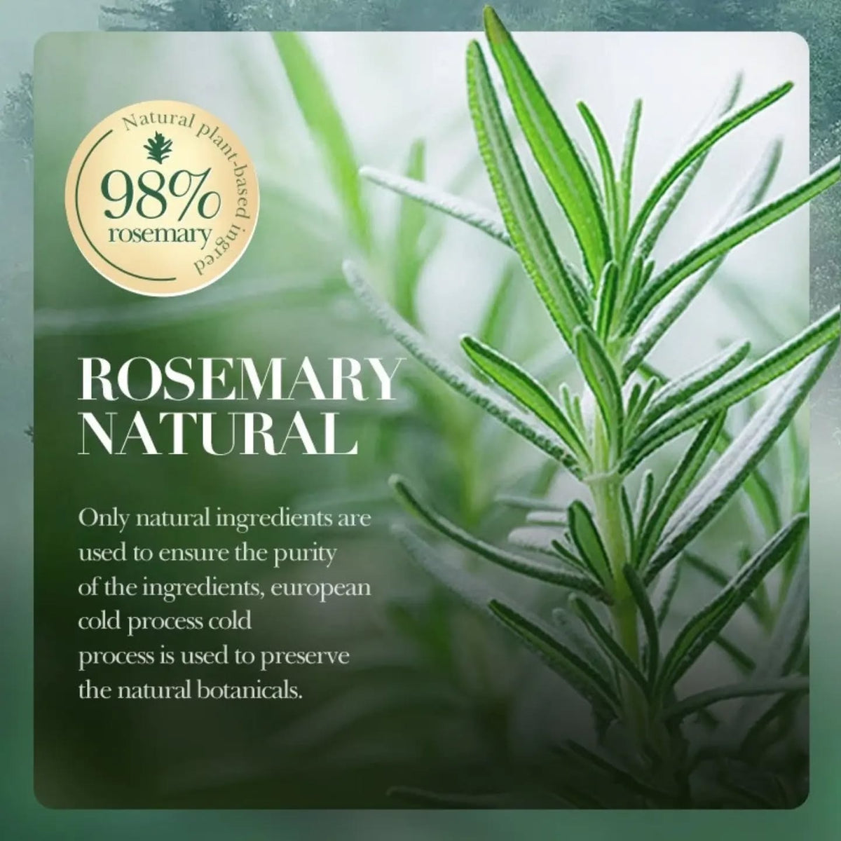 Sadoer Volumizing Rosemary Hair Mask 500ml | BIOAQUA Pakistan